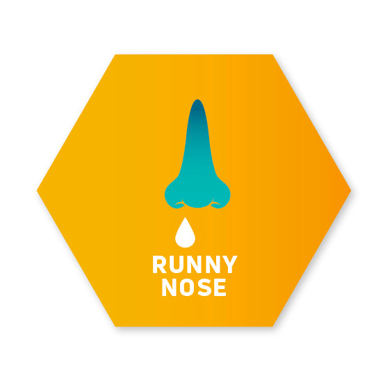 Children's Nasonex 24HR Allergy Nasal Spray